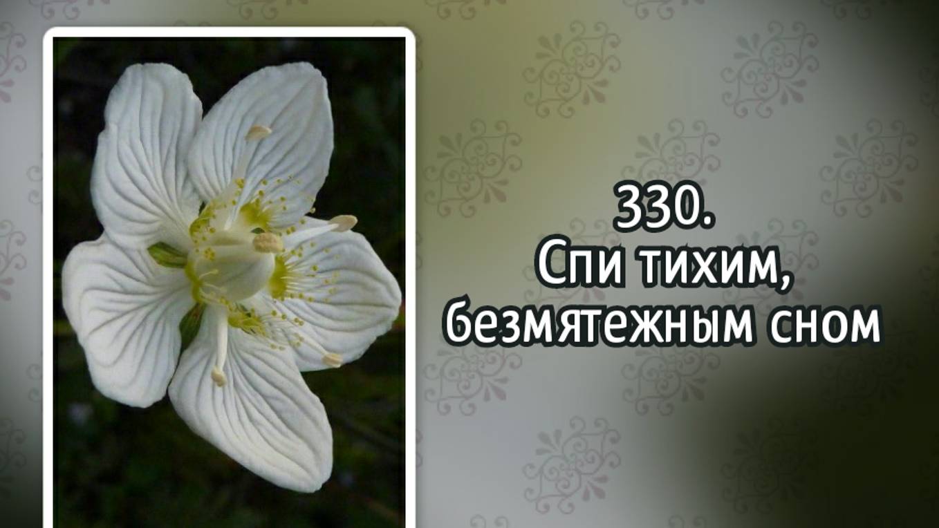 Гимны надежды 330 Спи тихим, безмятежным сном (-)