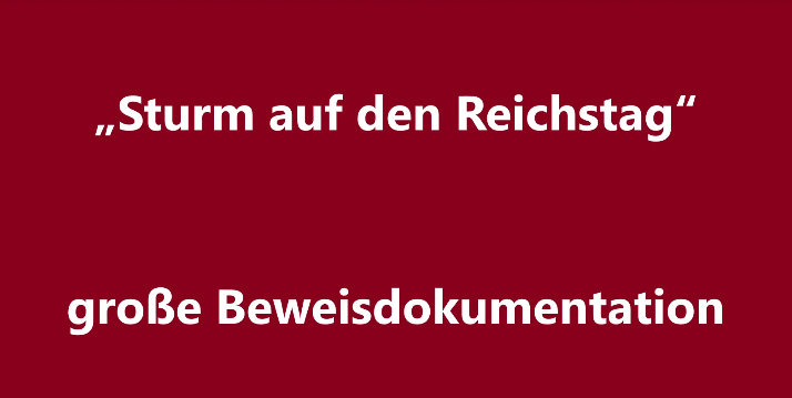 Sturm auf den Reichstag POLIZEI-SKANDAL AUFGEDECKT Das Drehbuch Sturm auf den Reichstag