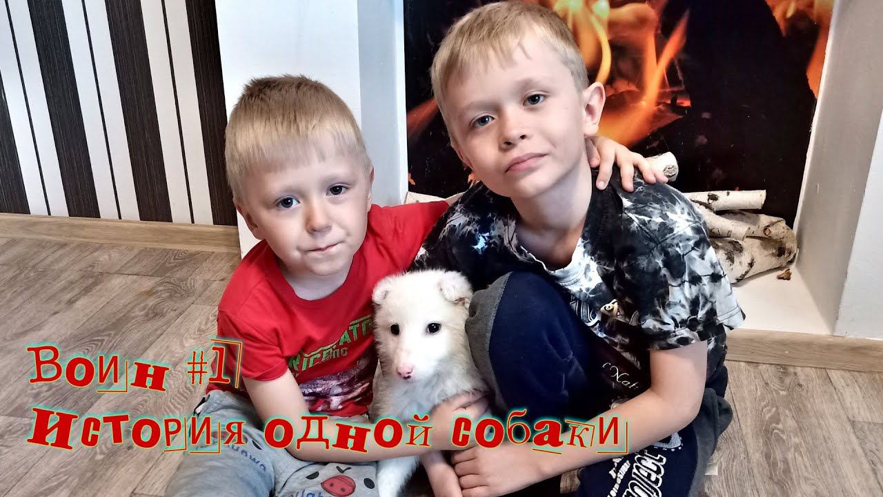 Воин #1. История одной собаки