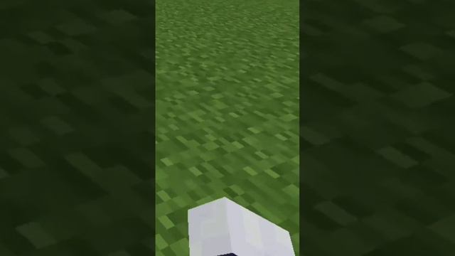 чё заняться #2