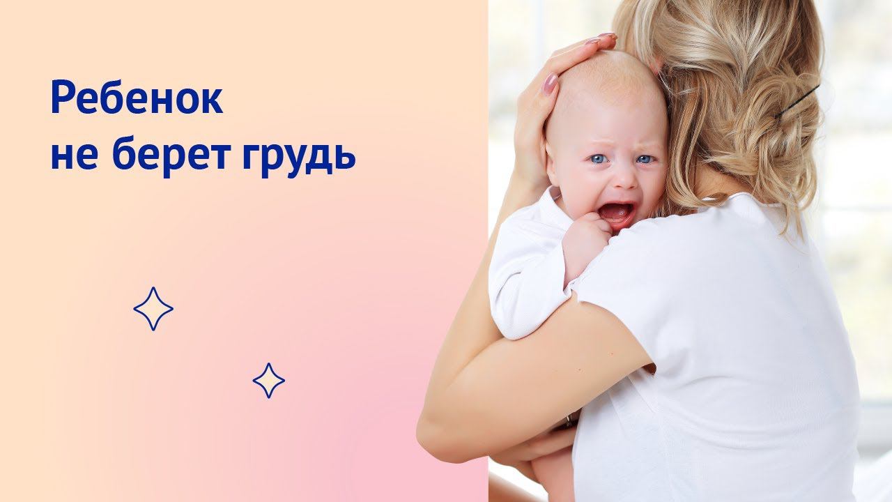 Малыш не берет грудь