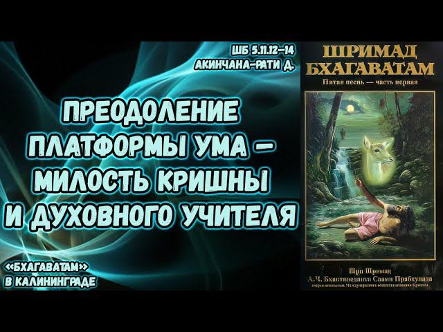 Преодоление платформы ума — милость Кришны и духовного учителя. Акинчана-рати д. ШБ.5.11.12–14