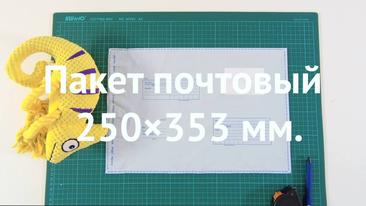 Пакет почтовый 250×353