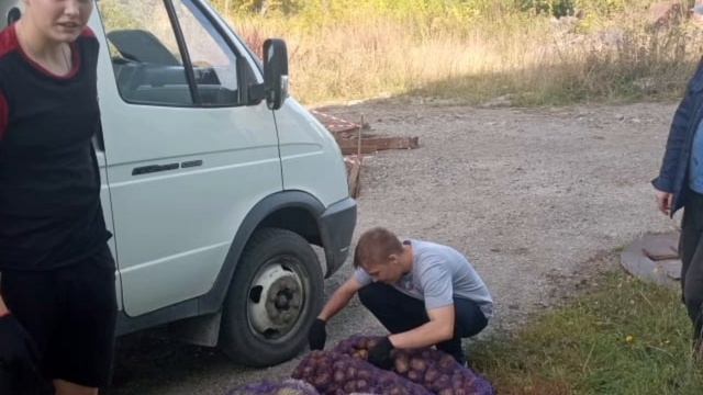 Доставка овощей.mp4