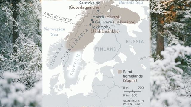 Look Level 3 School Trip 1 Video 3