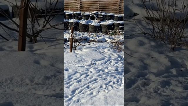 Первый снег