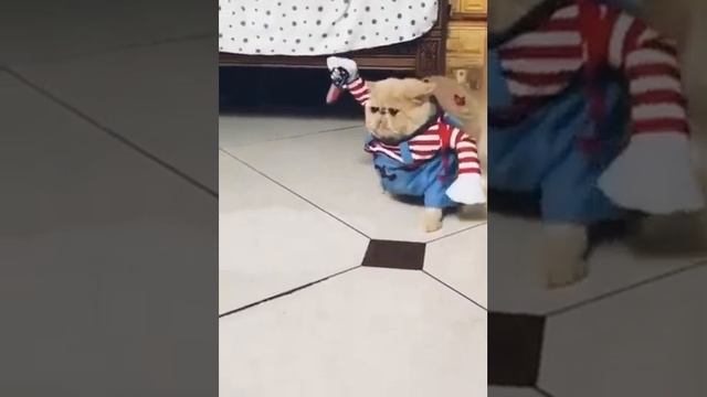 Я пришел убивать.