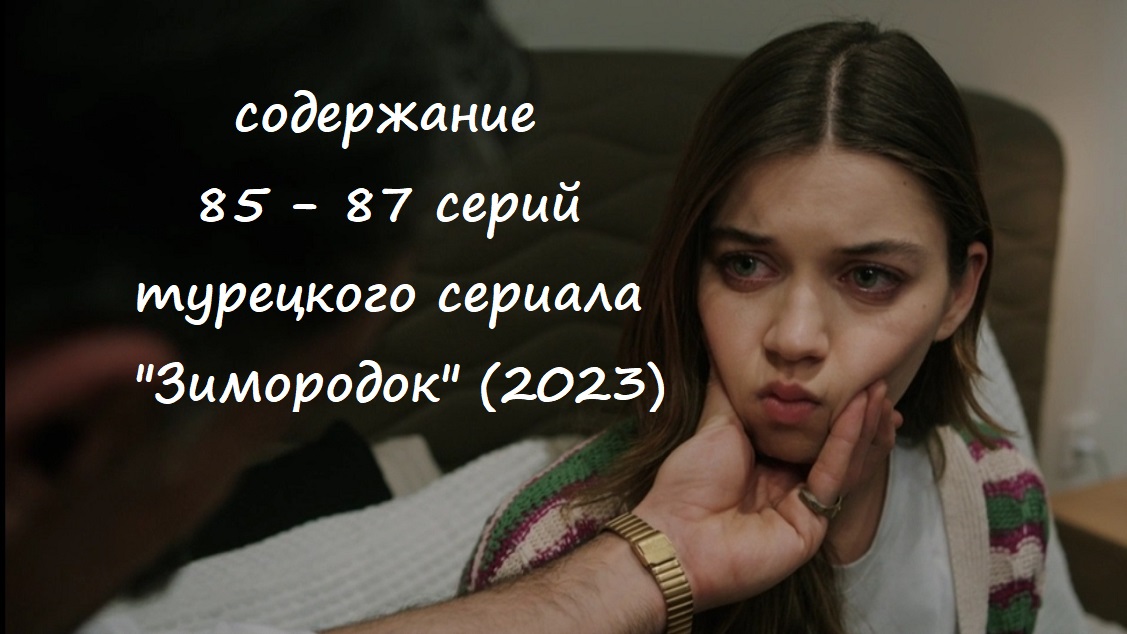 Содержание 85, 86 и 87 серий турецкого сериала "Зимородок" (РФ, 2023)