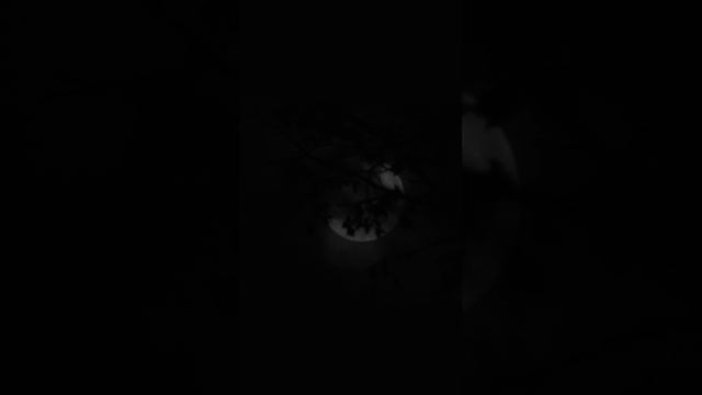 Пополняя луна управляет ночью