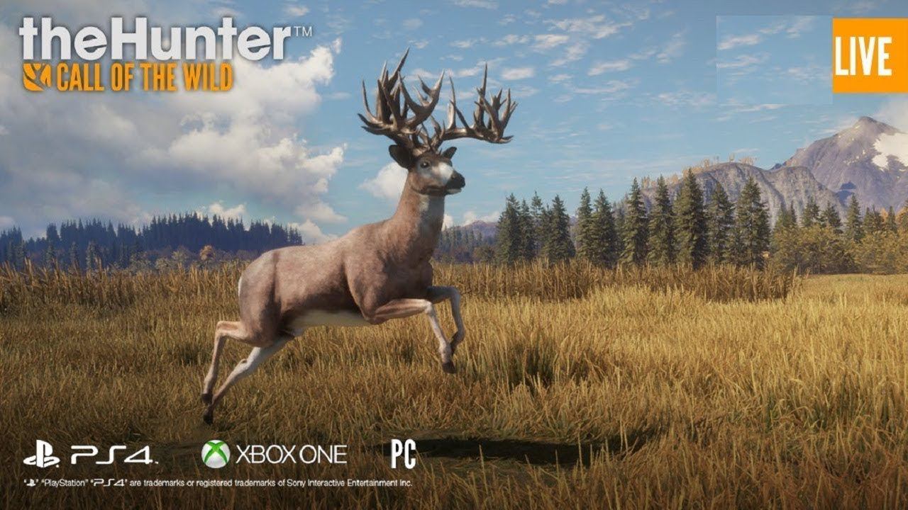 theHunter: Call of the Wild - 2021 Edition- Теперь С Собакой