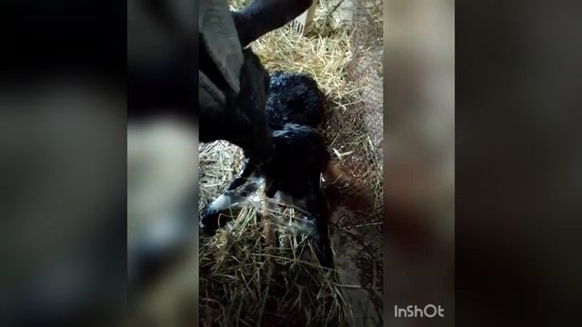 День рождения2. 21.04.23