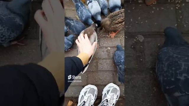 Когда погладила уточку??И очень счастлива?