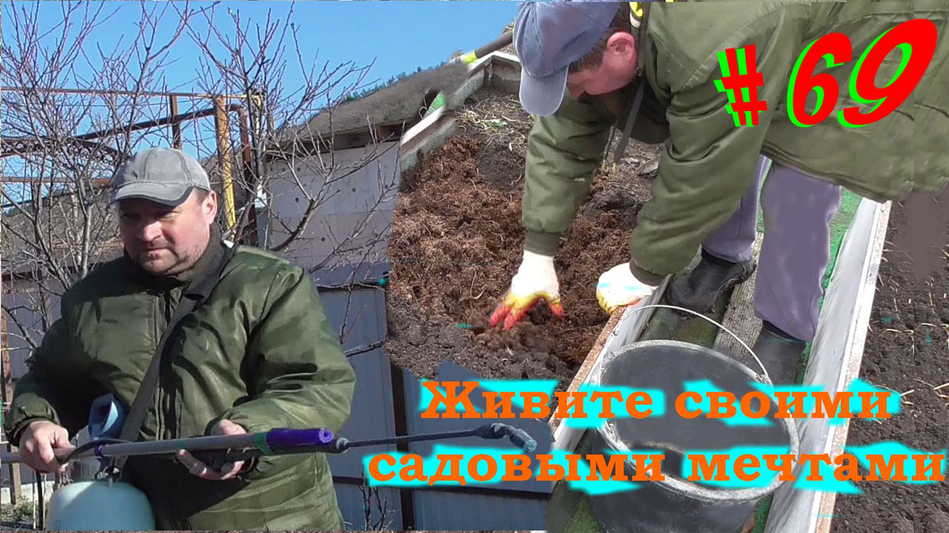 ЖНД # 69. Обработка сада Бордоской жидкостью. Морские водоросли как удобрение.