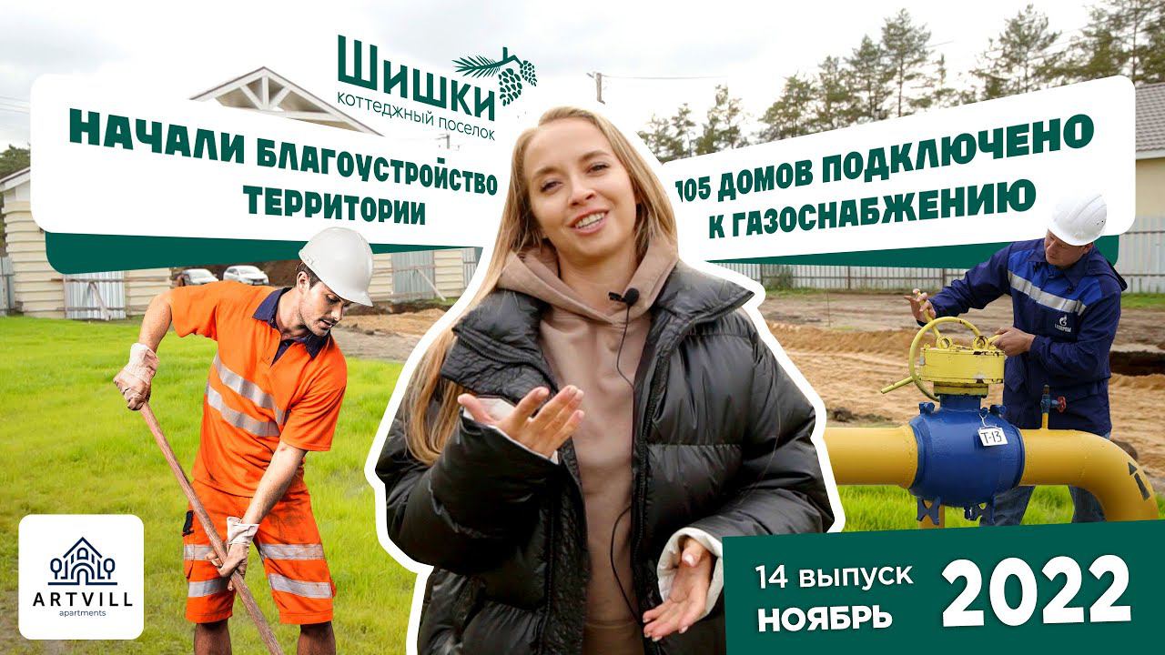 Шишки ,дома газифицированы,благоустройство территории.