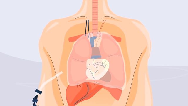 Люди, Которые Пережили Невероятное. Часть 3
