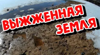 Пляжный КОП. Куча монет но ничего стоящего. Поиск с металлоискателем на пляже!