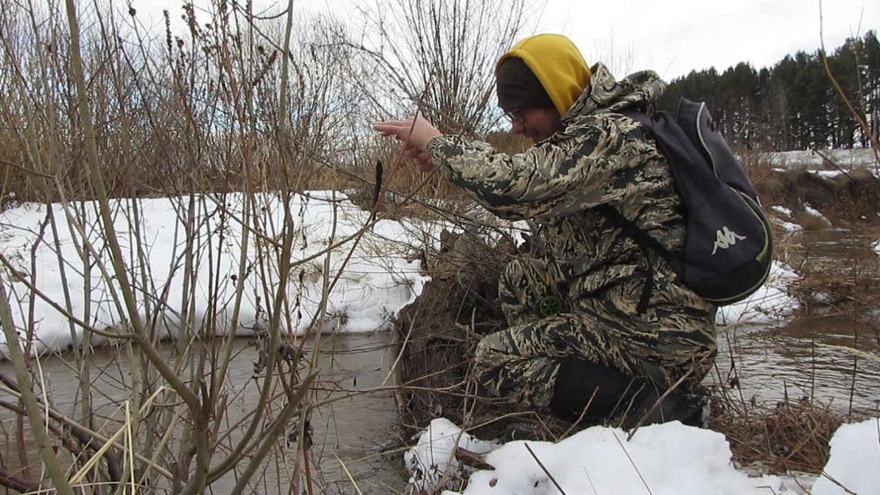Жуть как не терпится. Открыл сезон рыбалки по открытой воде. Сбор сосновой почки.