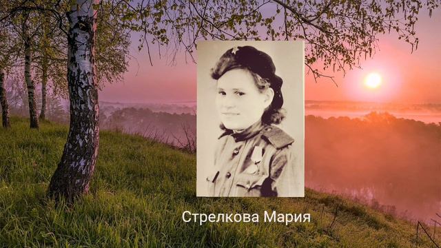 Дорогами войны. Боевой путь ППГ-4186 62 -й армии