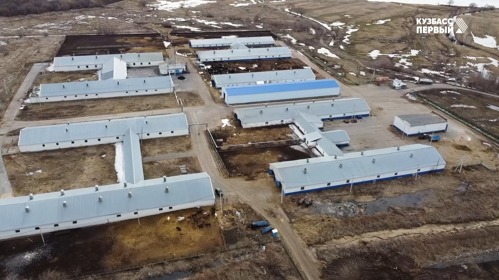 Кузбасс. Главное. Развитие сельского хозяйства