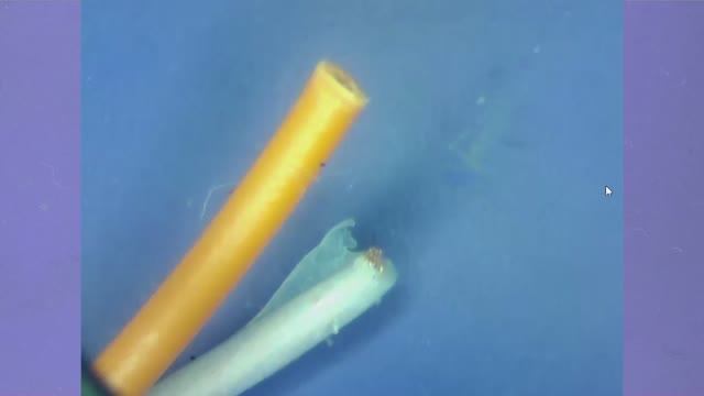 МГТФ. Общеизвестные достоинства и неочевидные недостатки.