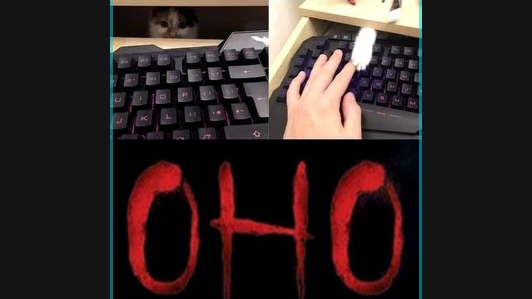 Мемы ОЧЕНЬ СМЕШНЫЕ.    ОНО хочет Вискас!!!!