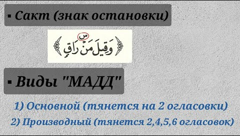17/18. ВИДЫ МАДДА В КОРАНЕ | ПРАВИЛА ЧТЕНИЯ КОРАНА | #ТАДЖВИД