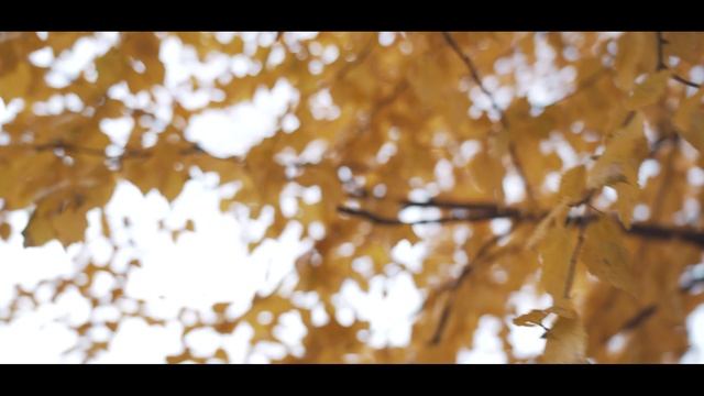 ПРИХОД из фильма Жизнь в 11 дет.садике.mp4