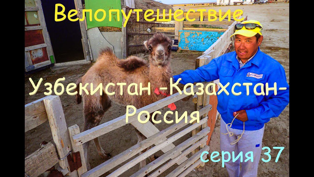 Одиночное годовое велопутешествие 2017г.-2018г.