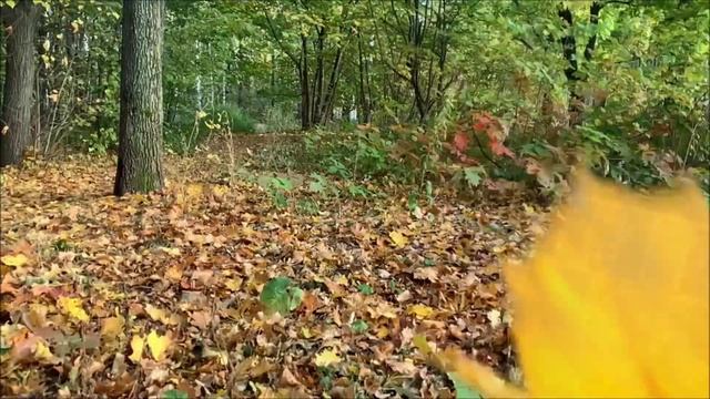 Танго (клип) Мини-альбом "Адью!"