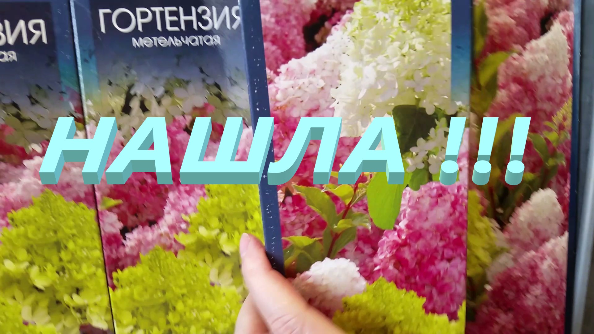 Леруа Мерлен. Все для дома и сада.