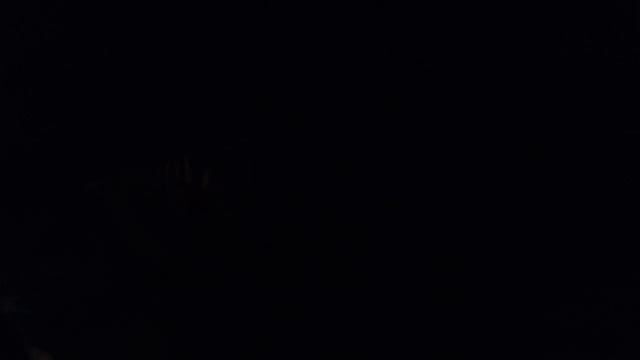 Обзор от PITGUNS  - Дожигатель русич.mp4