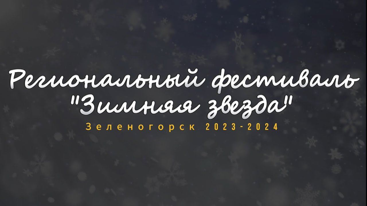 Зимняя звезда 2023-2024
