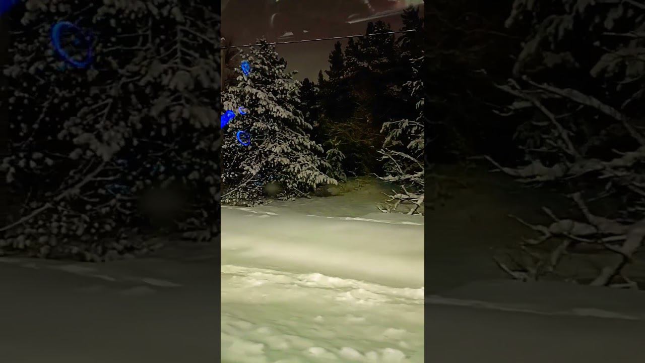 #shorts. В Воронеж пришла зима.