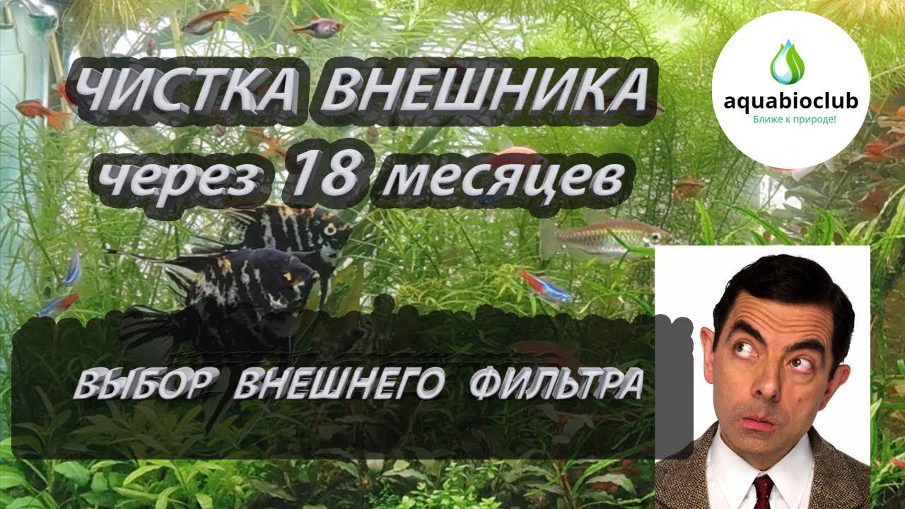 Чистка фильтра TETRA EX 1200 plus через 18 м. Наполнители внешних фильтров и выбор внешнего фильтра.