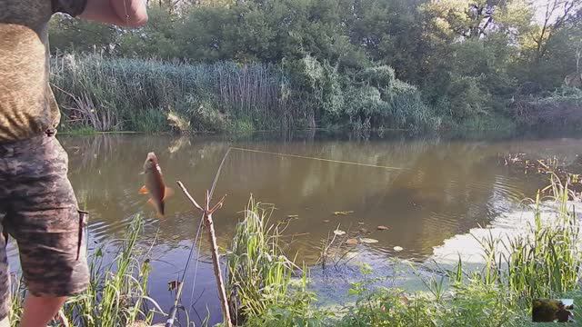 Рыбалка на р.Оскол. 7.08.2022г.