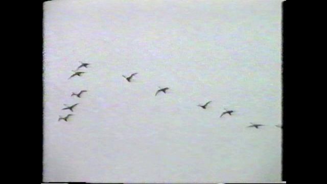 Надежда Третьякова (Сылгы-Ыытар) - Ойуhардаах