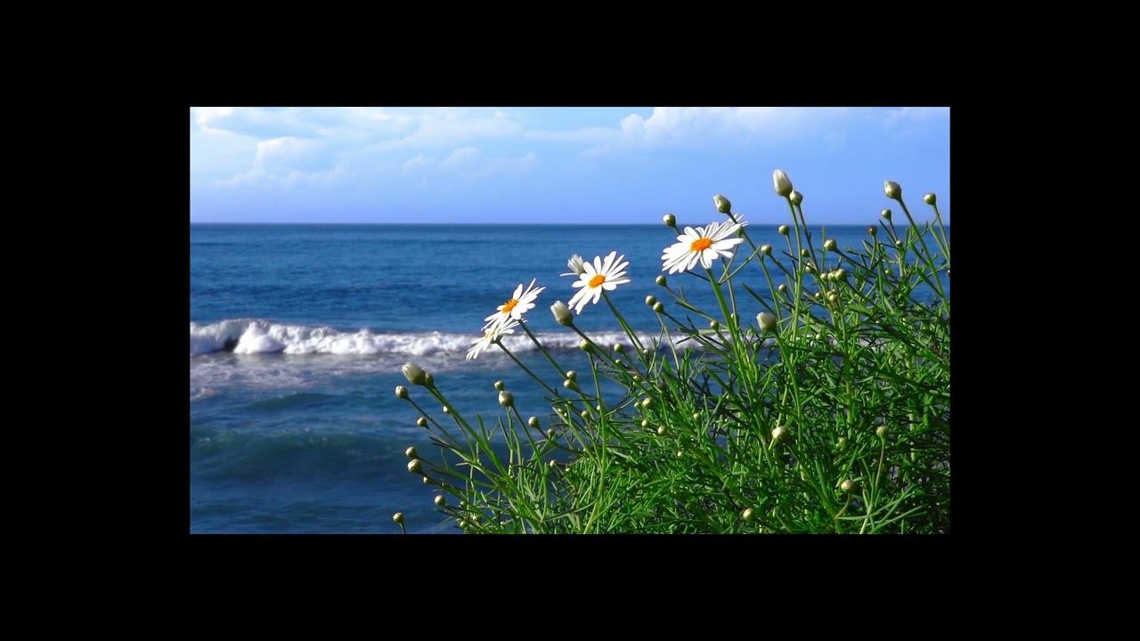 Мы сами строим свой мир