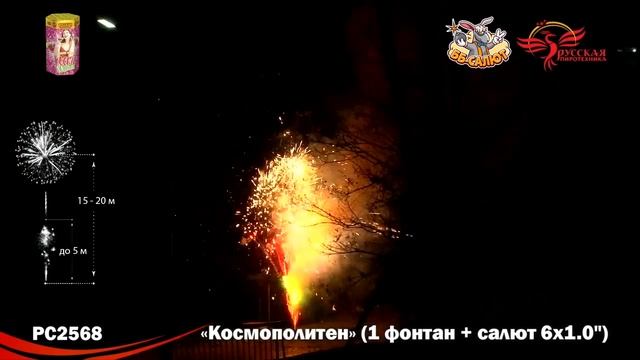 РС2568 Космополитен (1х7)