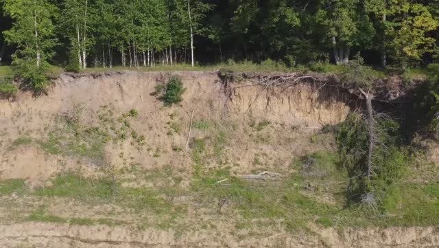 45 000 лет назад в Сибири жили голубоглазые негры