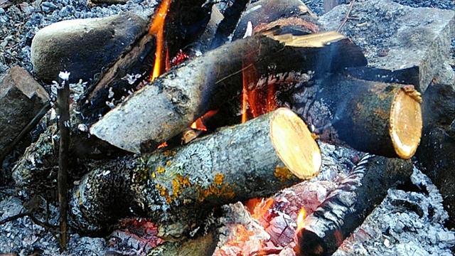 КОСТЕР В ЛЕСУ ( ФОН ЗАСТАВКА НА ТЕЛЕФОН ТЕЛЕВИЗОР )  DMC SHAMBALA Y