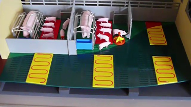 Макет автоматизированной системы управления свинокомплексом