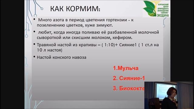 Выращивание  метельчатых и древовидных гортензий. Самое важное