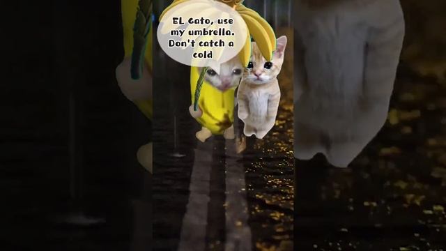 Banana cat помог котёнку и стал ему другом
