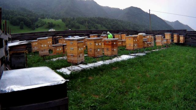 2023_0708_173304_101