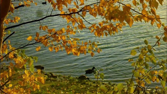 Элегия №1,стихи.Я хотел бы уйти