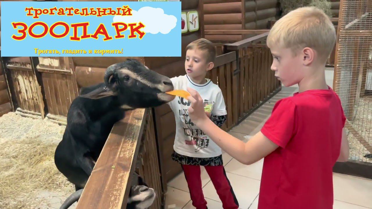 Трогательный зоопарк СПБ