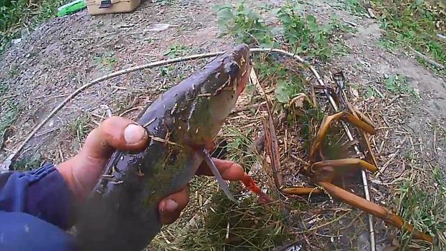 Как поймать судака, щуку осенью, рыбалка..mp4