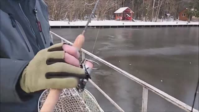 Поимки форели на спиннинг Amati и блесну Uaringo