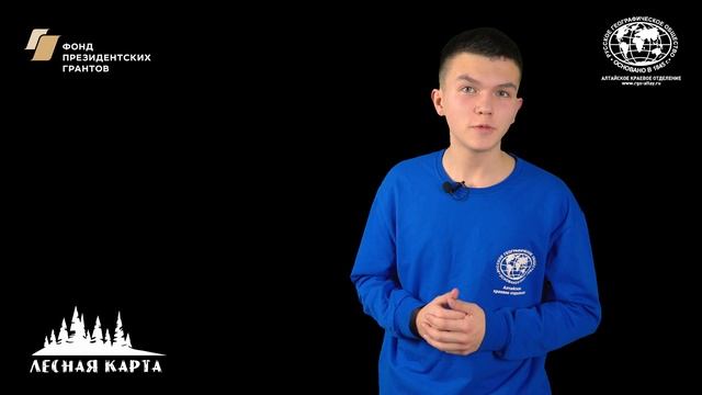 «Лесная карта. Мониторинг»