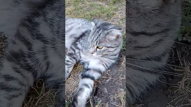 смешно🤣🤣🤣 2часть